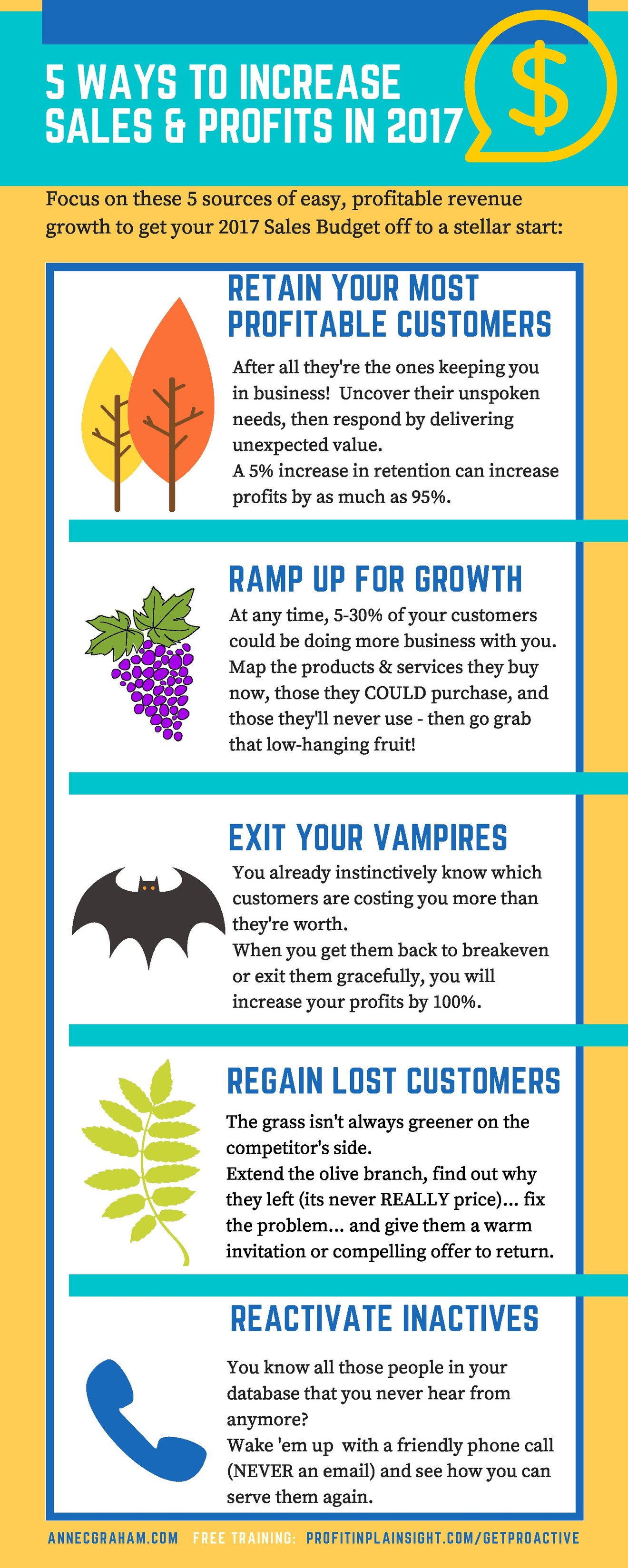 5 WAYS TO INCREASE SALES & PROFITS IN 2017