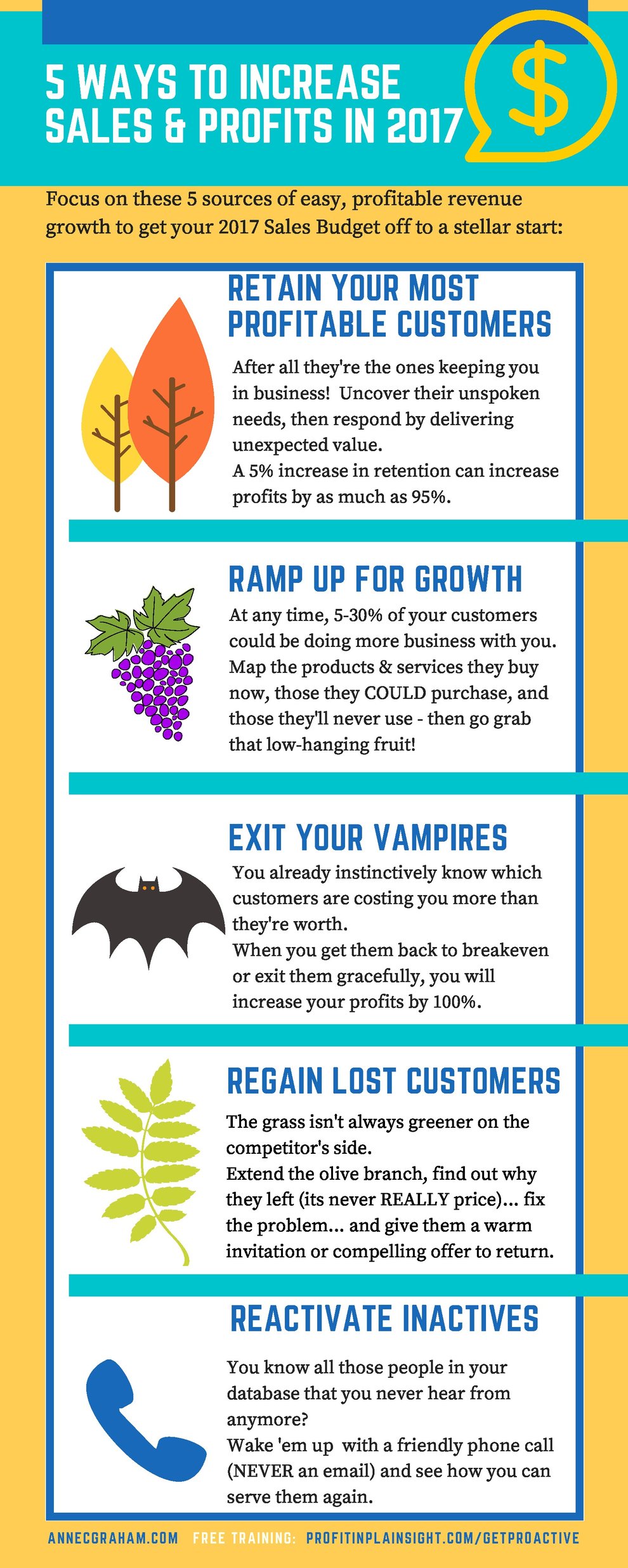 5 WAYS TO INCREASE SALES & PROFITS IN 2017